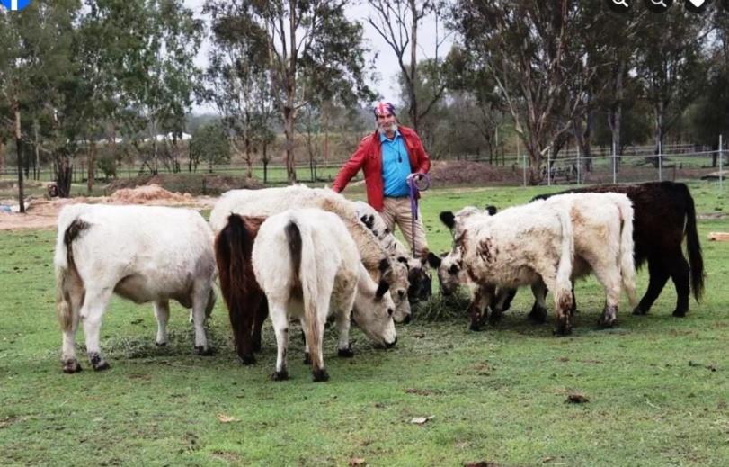 Australian National Review - Fire Ant Spreaders Caught Red-handed in Lockyer Valley: Labor ...