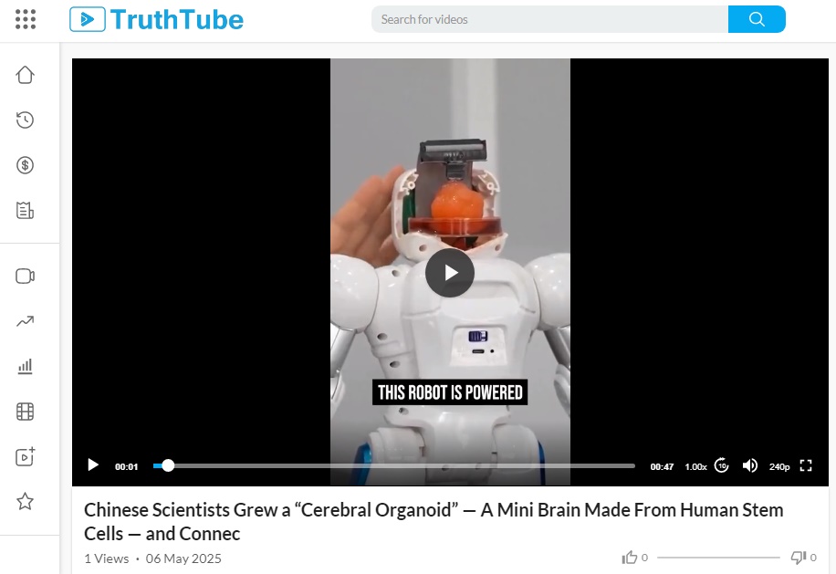 Chinese Scientists Grew a “Cerebral Organoid” — A Mini Brain Made From ...